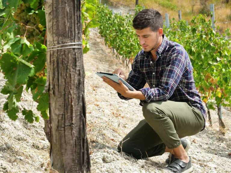 The 5 Benefits of Digital Vineyard Management Apps - forms2